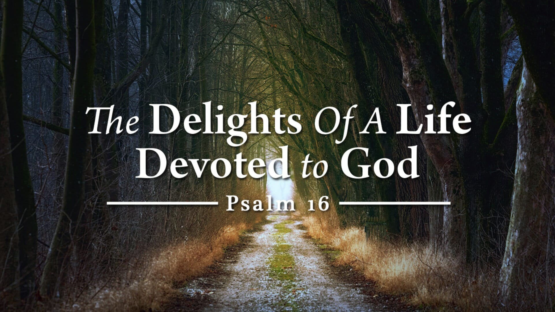 The Delights of a Life Devoted to God - Greenhills Christian Fellowship