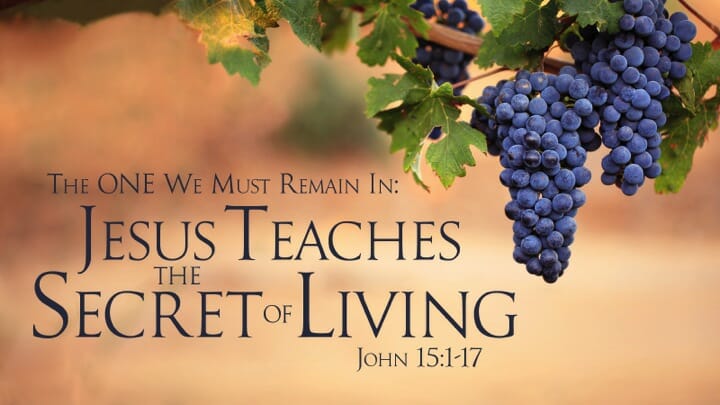 The One We Must Remain In: Jesus Teaches the Secret of Living ...